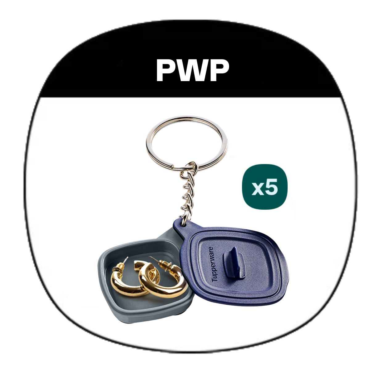 PWP: Micropro Grill Keychain (5) – Tupperware Singapore